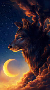 Walli | Creative wallpapers